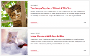 How To Create WordPress Excerpts And Include Links In Them